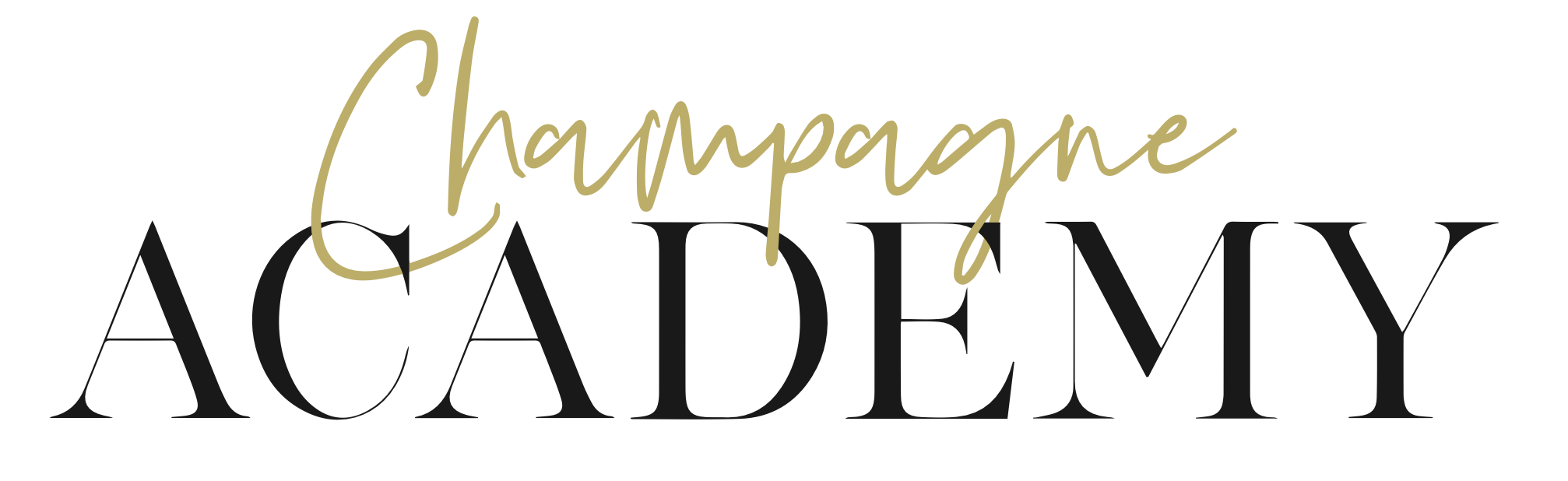 Champagne Academy - Le Blog de Plus de Bulles