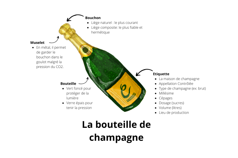 Conseils pour choisir un champagne adapté à vos goûts - Le Blog de Plus ...