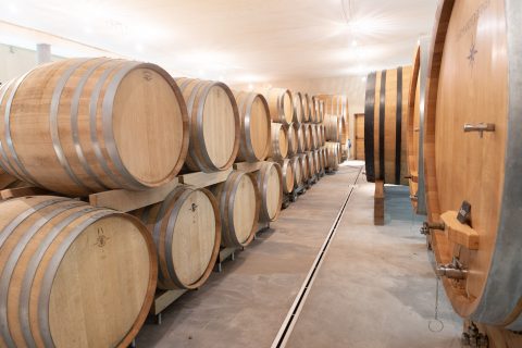 Champagne : Qu'est-ce que le dosage en champagne