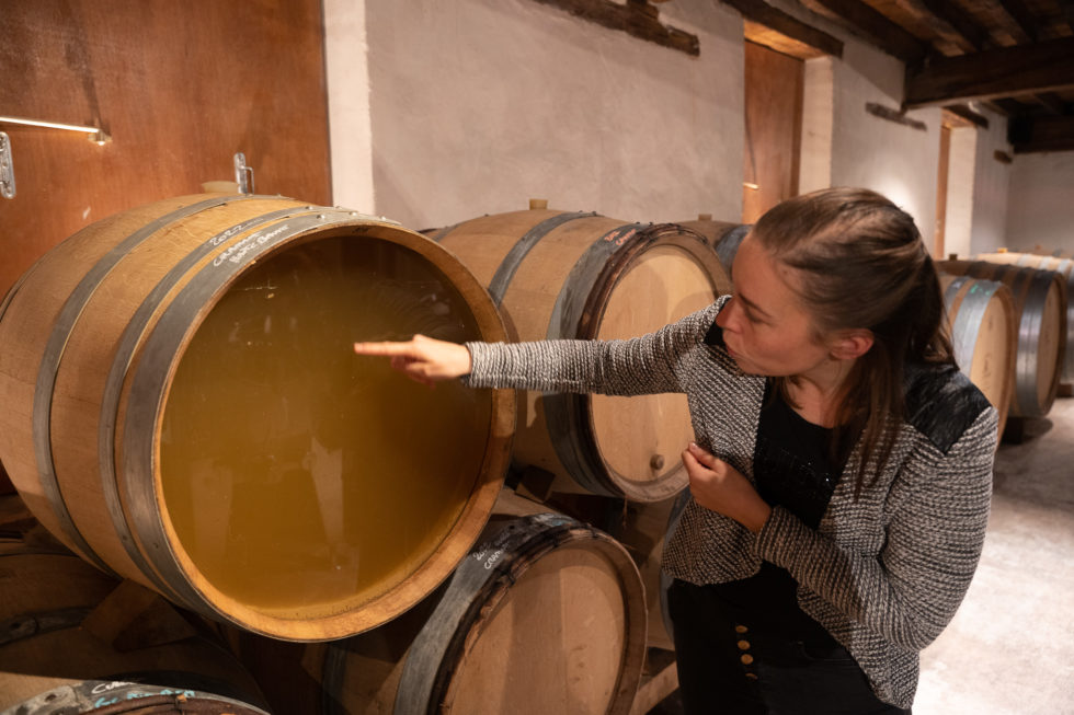 Qu'est-ce que la méthode champenoise ? - Les Conseils Plus de Bulles